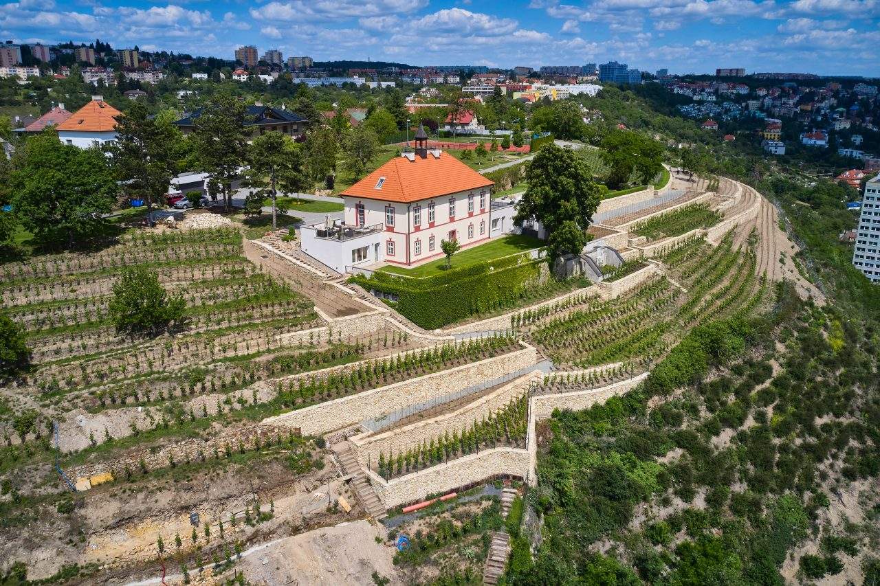Pražské vinařství Jabloňka: Vinice na břidlicové skále nad Vltavou ...